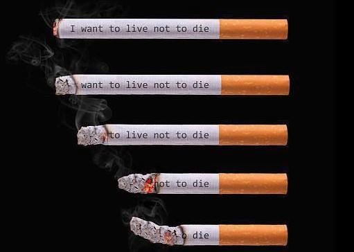 Five Lit Cigarettes With the Text "I Want to Live Not Die" - Campaign ...